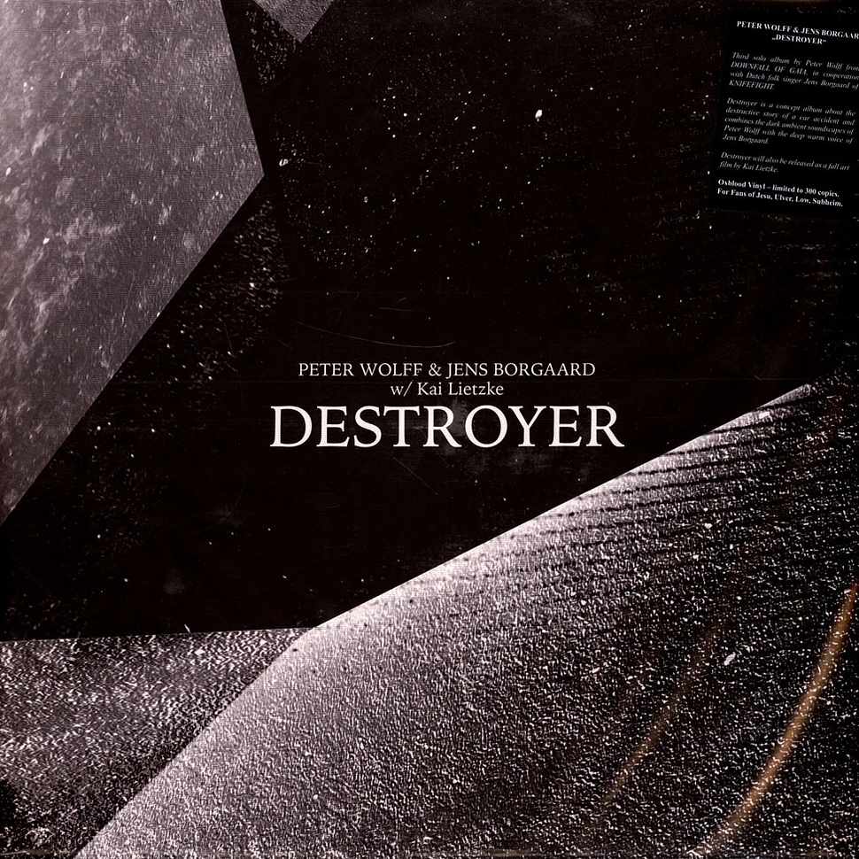 Peter Wolff & Jens Borgaard With Kai Lietzke - Destroyer - Vinyl LP ...