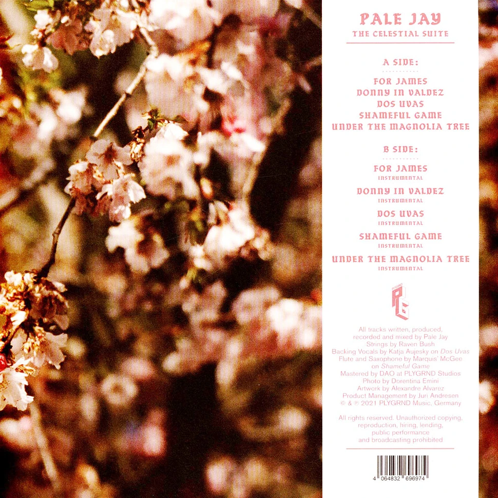 Pale Jay - The Celestial Suite Signed Black Vinyl Edition w/ Seamsplit ...