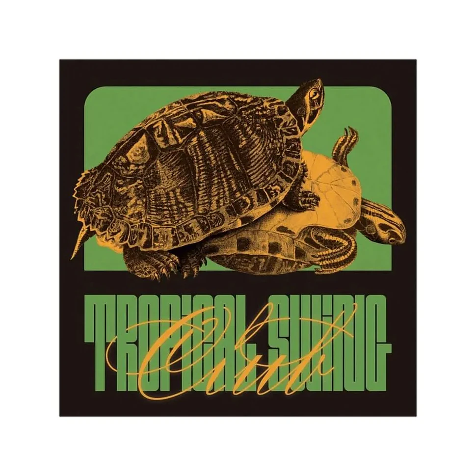 Dull Boy Johnny - Tropical Swing Club / Fictional Love Scenes - Vinyl ...