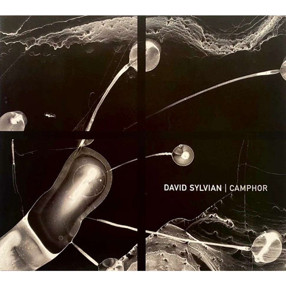 David Sylvian - Camphor - 2CD - 2002 - EU - Original | HHV